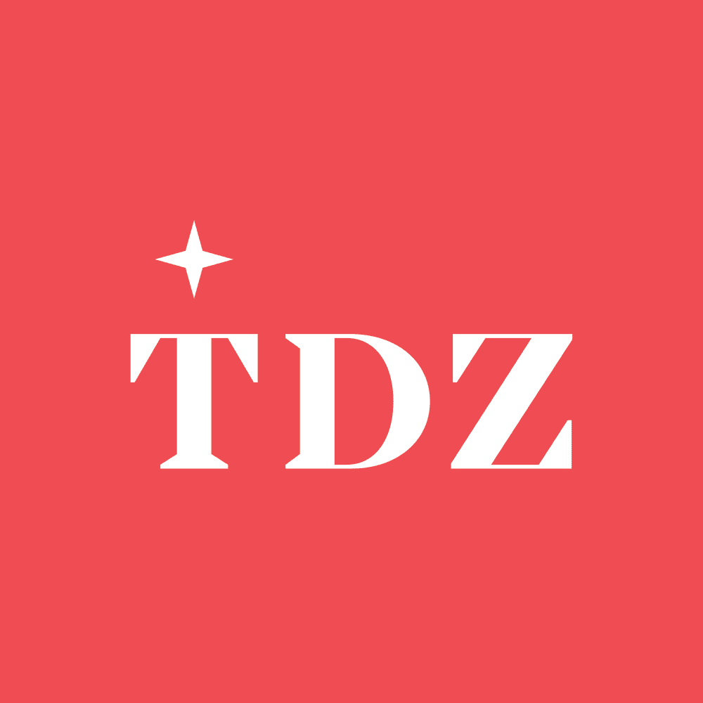 TDZ Creative Partners: Your Channel Marketing Agency